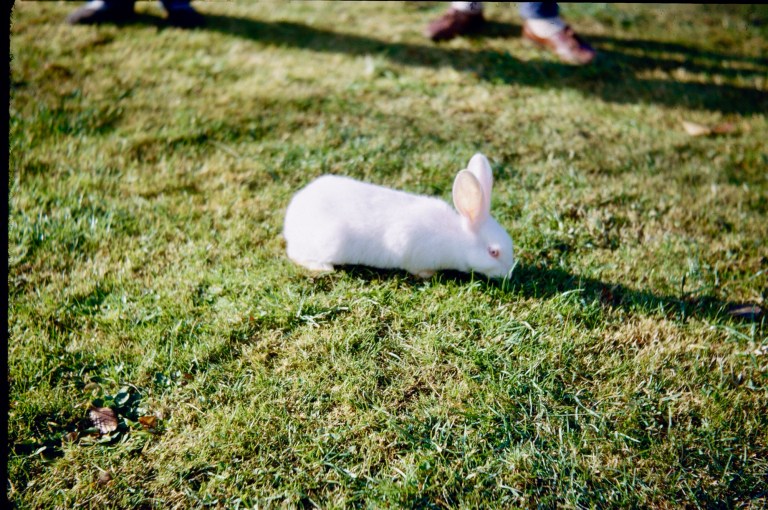 15. Aug-Nov 1964 – Suffolk, Luton and Sundridge – William McDougall